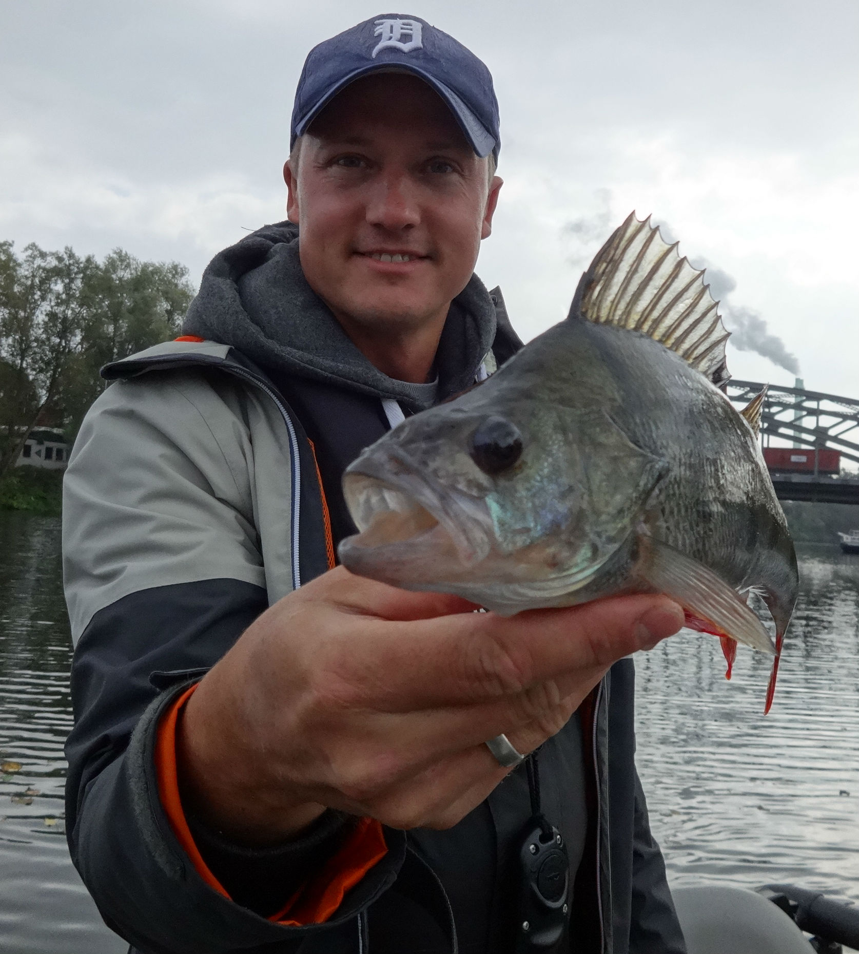 Bilder - BARSCH | Zanderangeln in Hamburg | Angelguiding und ...