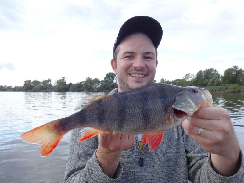 Bilder - BARSCH | Zanderangeln in Hamburg | Angelguiding und ...