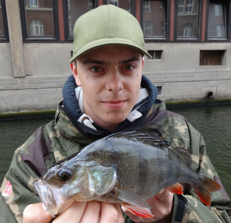 Bilder - BARSCH | Zanderangeln in Hamburg | Angelguiding und ...