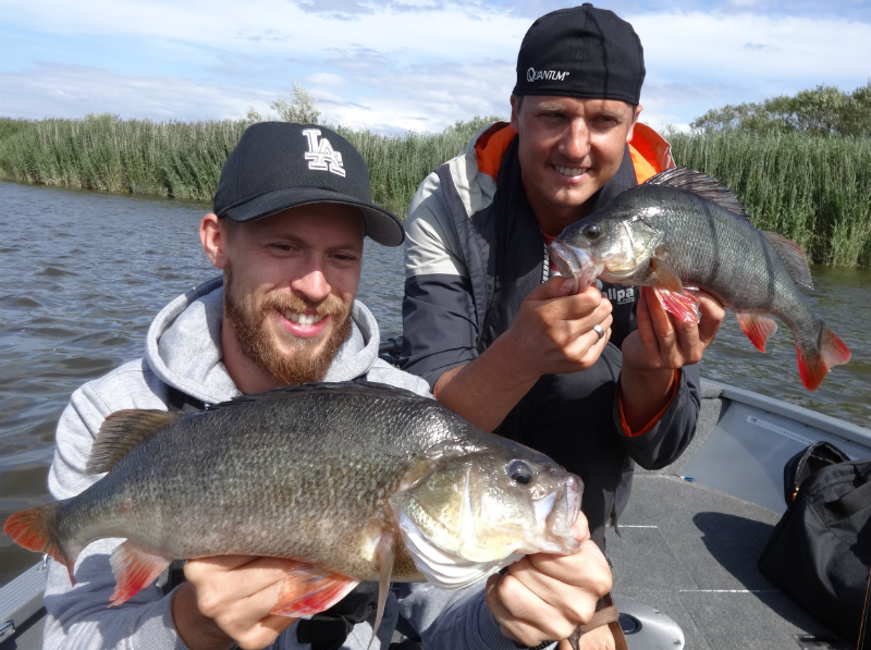 Bilder - BARSCH | Zanderangeln in Hamburg | Angelguiding und ...