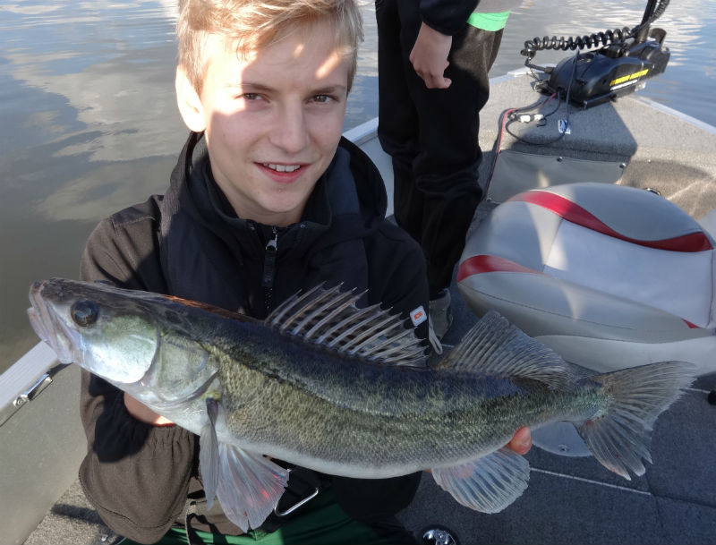 Bilder - ZANDER | Zanderangeln in Hamburg | Angelguiding und ...