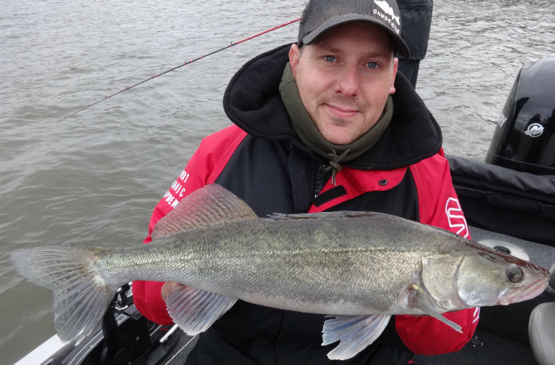 Bilder - ZANDER | Zanderangeln in Hamburg | Angelguiding und ...