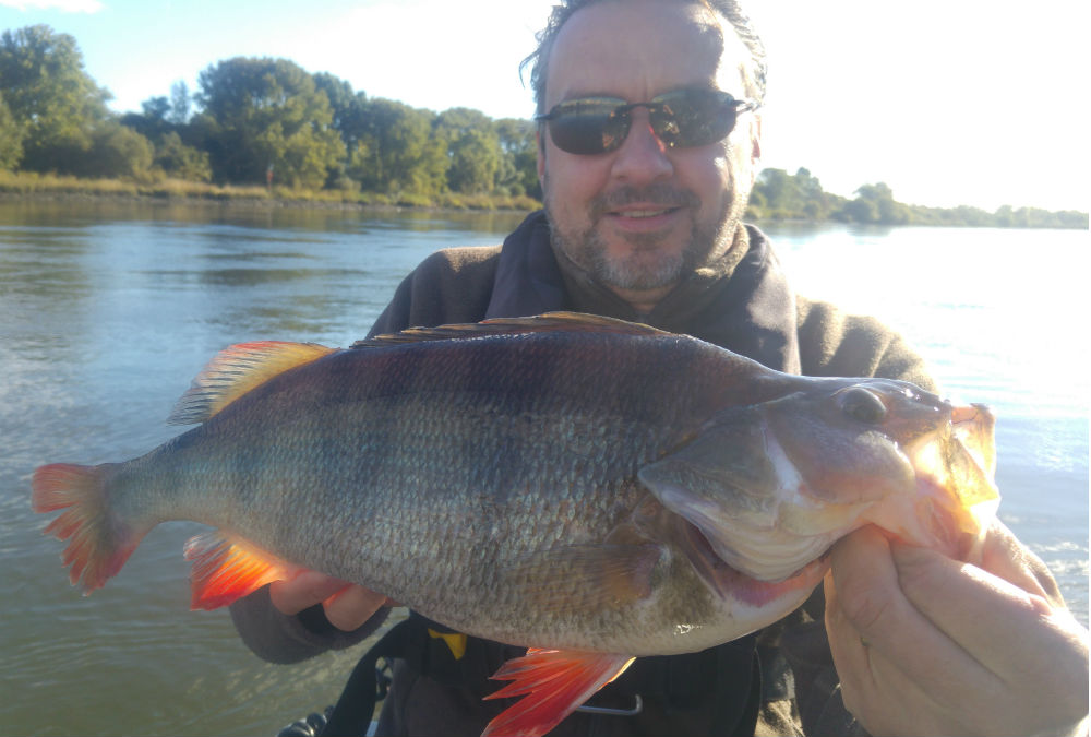 Bilder - BARSCH | Zanderangeln in Hamburg | Angelguiding und ...