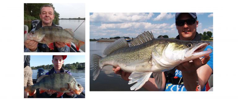 Startseite - Zanderangeln Hamburg - Angeltouren, Angelguiding im ...