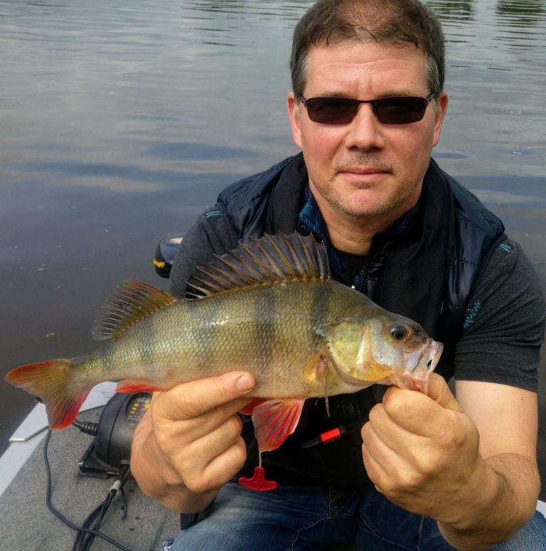 Bilder - BARSCH | Zanderangeln in Hamburg | Angelguiding und ...