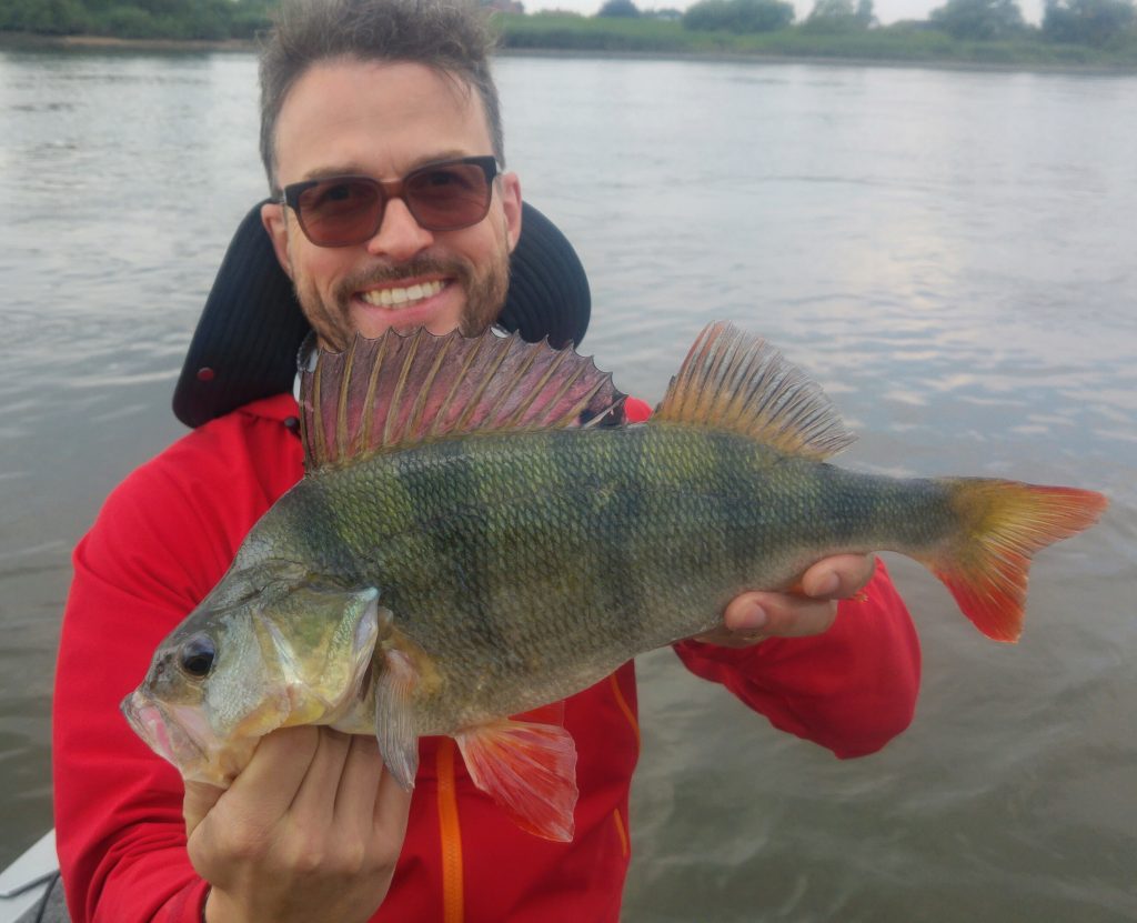 Bilder - BARSCH | Zanderangeln in Hamburg | Angelguiding und ...