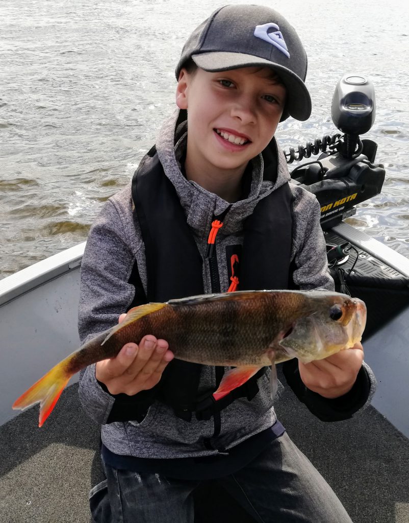 Bilder - BARSCH | Zanderangeln in Hamburg | Angelguiding und ...